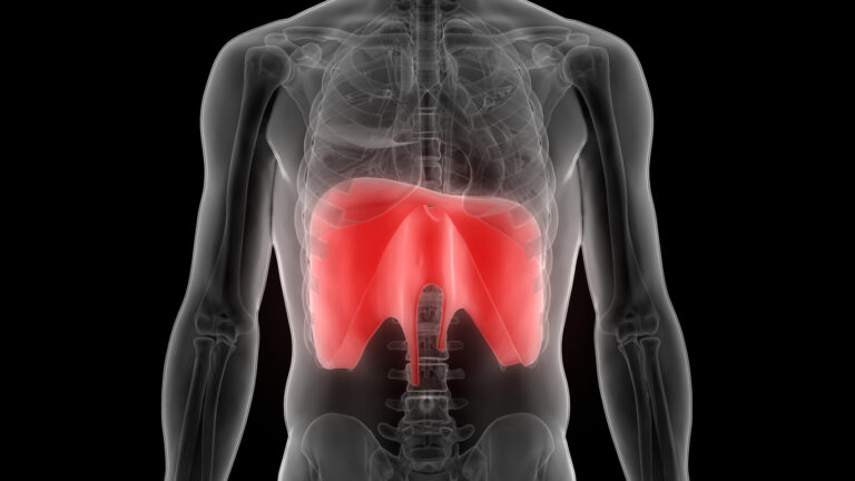 Releasing Trauma and Stress with the Psoas Muscle - Integrative ...